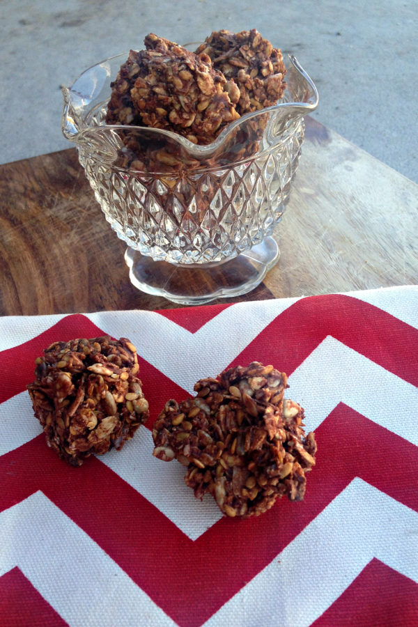 No-Bake Cookies for Constipation - The Healthy Honey's
